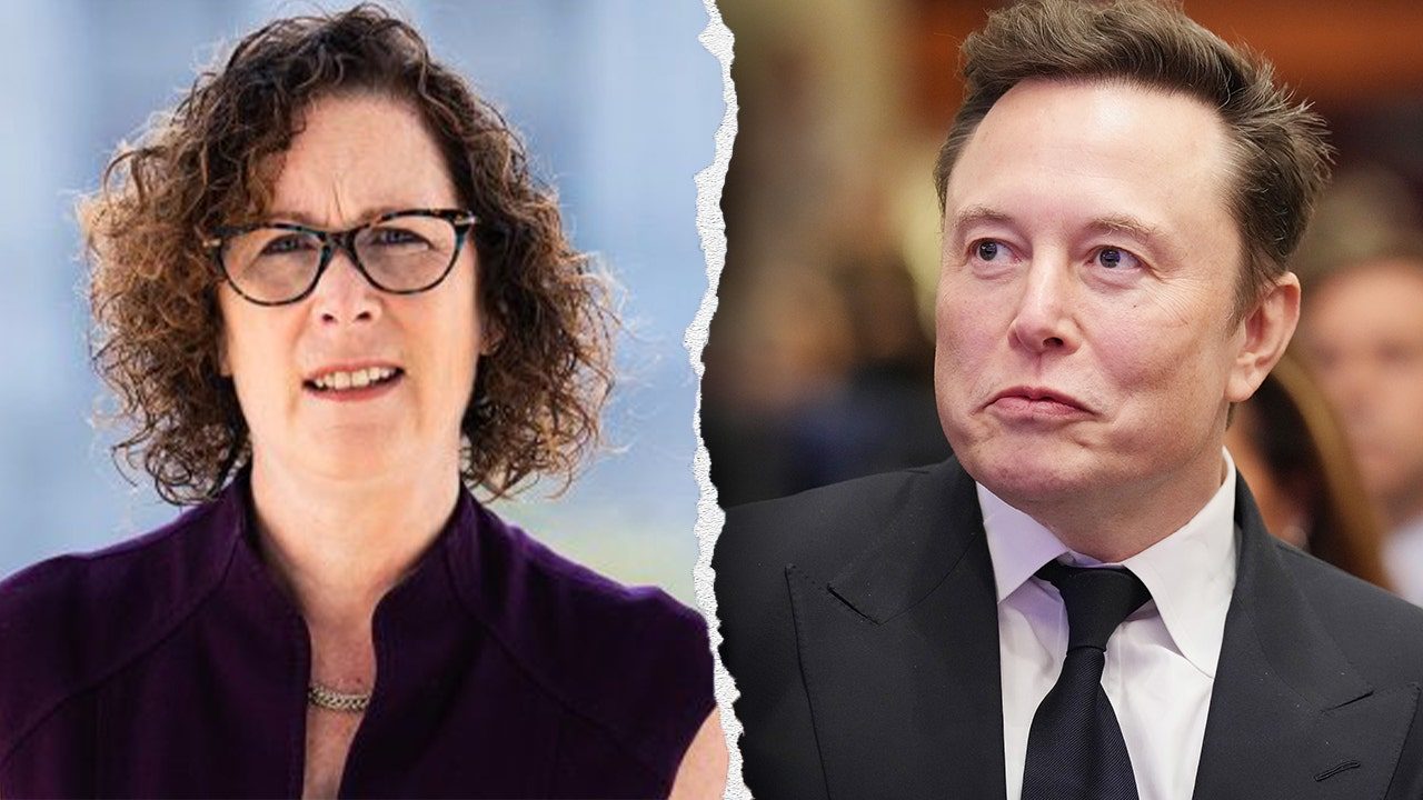 House Democrat Exits DOGE Caucus, Slams Musk for 'Chaos' in Crypto